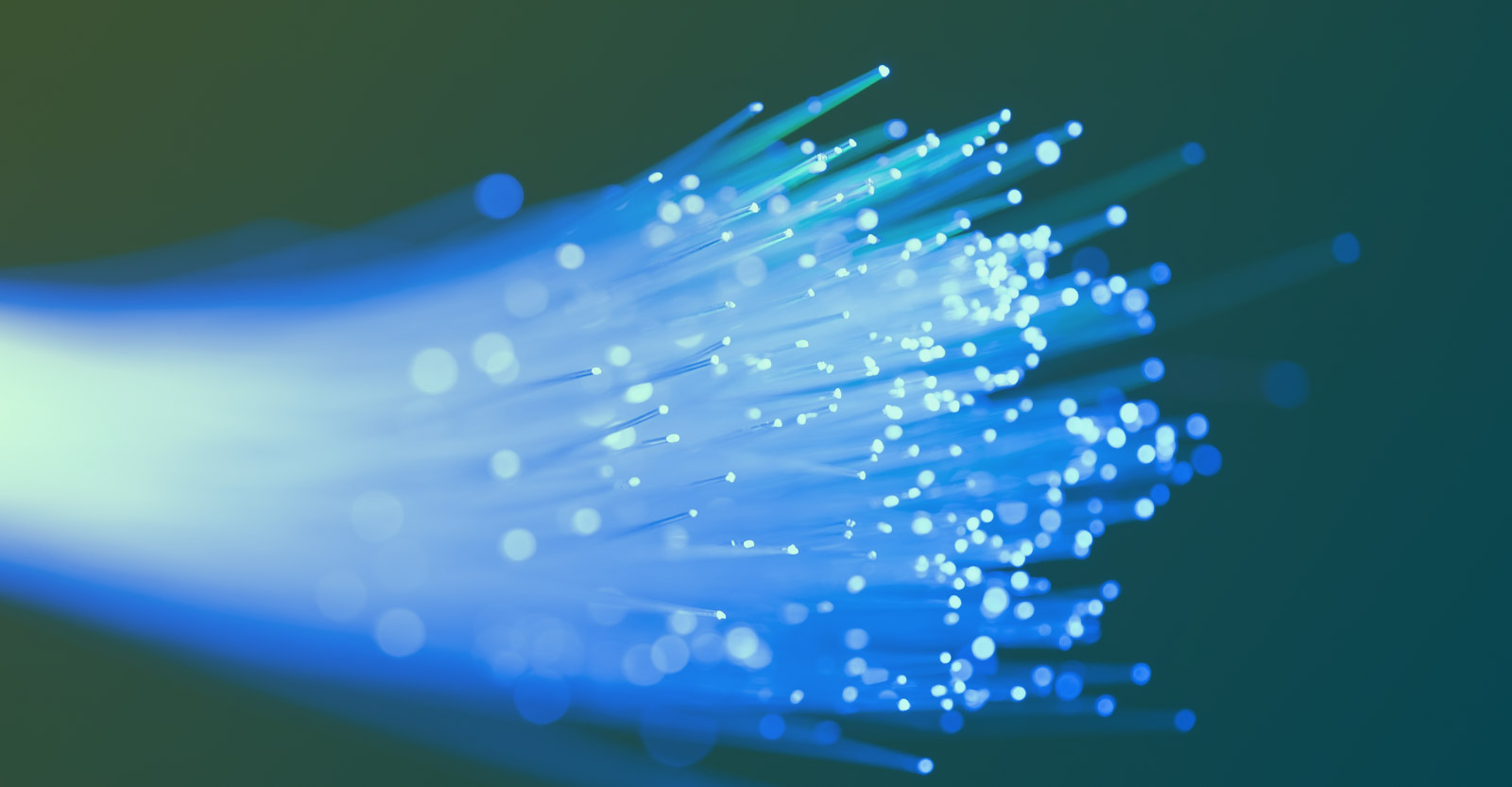 Contact software developer, Management consulting Javascript